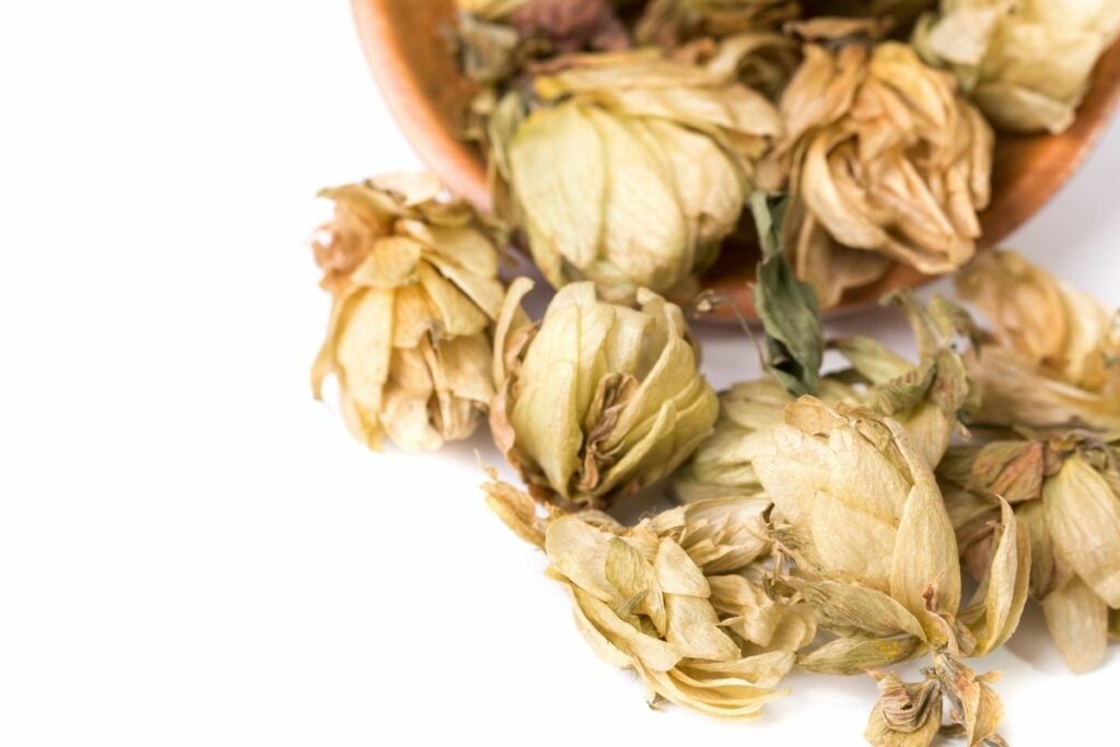 What To Do With Hops Besides Making Beer? (8 Fun Alternatives ...